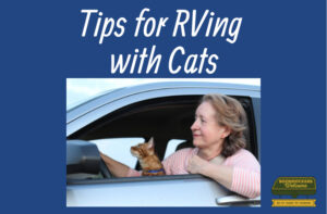 Tips for RVing with Cats - Boondockers Welcome
