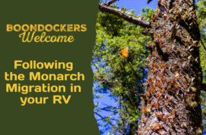 Following the Monarch Migration in your RV - Boondockers Welcome